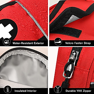 SITHON Insulated Medicine Carrying Case Bag - Small Travel Medication Organizer Emergency Medical Pouch Holds Auvi Q, Nasal Spray, Allergy Meds, Asthma Inhaler Case, Red