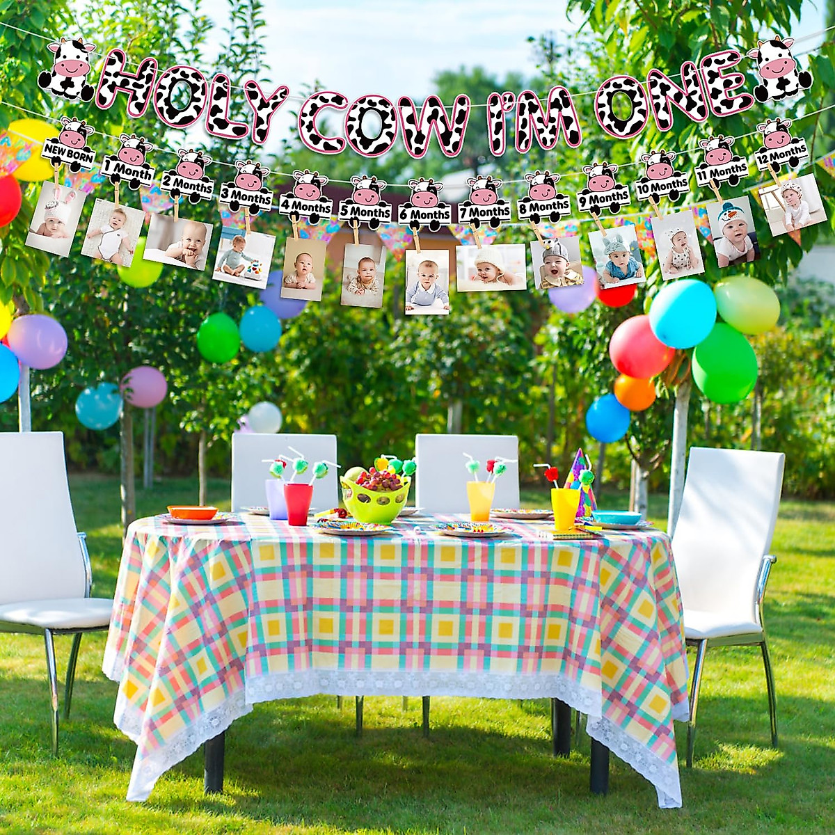 Cow 1st Birthday Decorations, include Holy Cow I'm One Banner, Cow Monthly Photo Banner, Farm Animals Cow First Birthday Party Decorations for Girls First Birthday Party Supplies