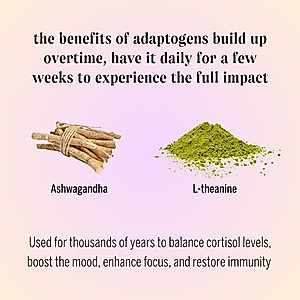 Moment Adaptogen Drink (Shark Tank) - Still Combo Variety (Original). L-Theanine & Ashwagandha for Focus & Stress Relief. 0 Added Sugar. 15-20 Calories. Alcohol & Caffeine Free. No Preservatives (11.5 fl oz. 12-pack)