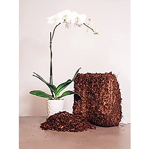 Envelor Coco Coir Chips Orchid Potting Mix 10 Lb Brick Mulch Potting Soil Indoor Plant Planting Chips Coconut Fiber Substrate Orchid Bark Growing Media Coir Husk Chips Compressed Coconut Coir