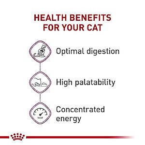 Royal Canin Feline Health Nutrition Sensitive Digestion Cat Food Dry Formula, Balanced Nutrition to Support Digestive Health, 7 lb Bag