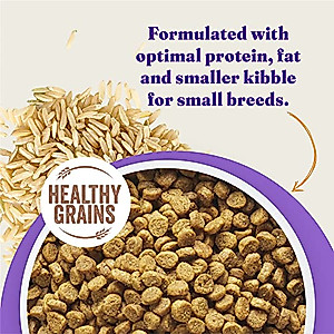 Halo Holistic Dog Food, Complete Digestive Health Cage-Free Chicken and Brown Rice Recipe, Dry Dog Food Bag, Small Breed Formula, 3.5-lb Bag