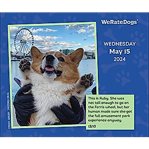 WeRateDogs 2024 Day-to-Day Calendar