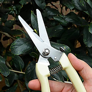 spdtech Straight Garden Scissors Sharp Garden Shears for Cutting Flowers Trimming Plants Bonsai Fruits Picking White