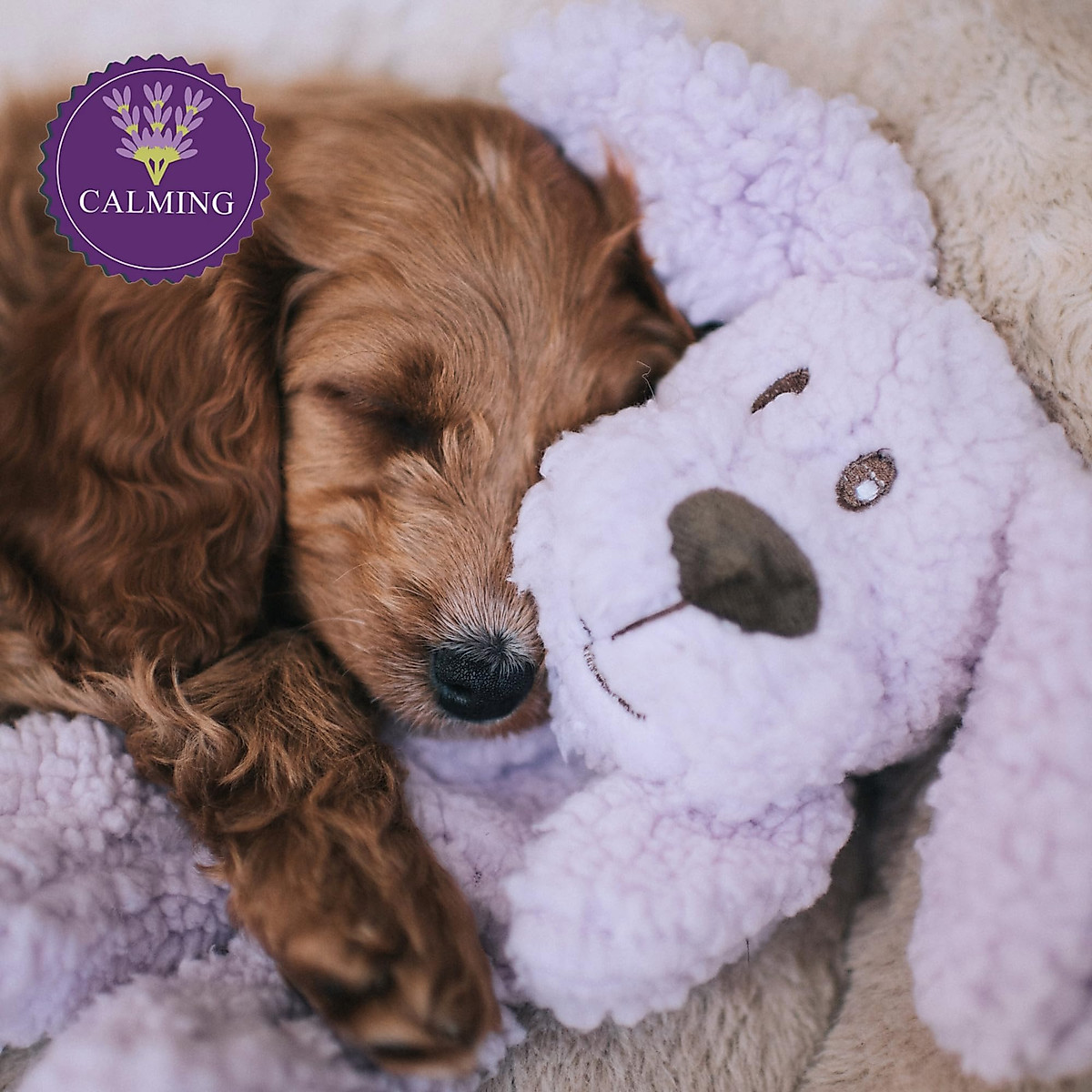 Aromadog Rosewood Calm Fleece Flattie Dog Toy, with Calming Lavender Blend Essential Oils