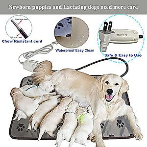Dog Heating Pad for Large Dog Bed Indoor,Waterproof Heated Dog Bed Mat,Pet Heating Pad,Cat Heating pad,Puppy Heating pad for whelping Box Outdoor Dog House,Easy Clean,34X21 inch