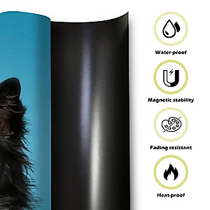 Dishwasher Magnet Sticker Border Collie Dog Portrait with a Hiding cat Behind Magnetic Refrigerator Sticker Appliance Covers Home Kitchen Decor for Fridge Metal Door Garage 23x26in