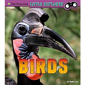 Birds: A 4D Book (Little Zoologist) (Smithsonian Little Explorer)