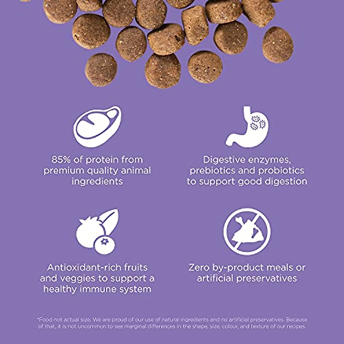 GO! SOLUTIONS Carnivore Grain Free Dog Food for Senior Dogs, 3.5 lb – Chicken, Turkey + Duck Recipe – Protein Rich Dry Dog Food – Complete + Balanced Nutrition for Senior Dogs