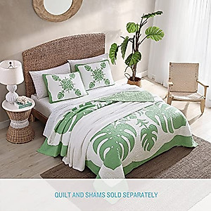 Tommy Bahama - King Sham, Cotton Bedding with Envelope Closure, Breathable Home Decor (Molokai Green, 21x37)