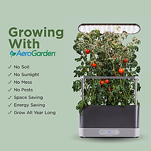 AeroGarden Harvest XL with Gourmet Herbs Seed Pod Kit - Indoor Garden with LED Grow Light, Black