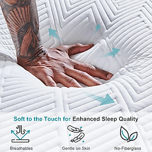 Twolike Queen Mattress,10-Inch Queen Size Foam Mattress in Box,Edges Support for Sleep Supportive,60" X 80" X 10"