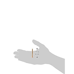 TIMCO 640SCSYP Solo Coach Screws-Hex-Gold-6.0 x 40-Pack of 12