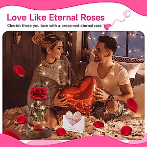 Refresh 2023 Beauty and The Beast Rose, Enchanted Red Silk Rose in Glass Dome with LED Light Romantic Rose Kit for Best Gifts Valentine's Day& Girlfriend& Wedding Anniversary& Birthday.