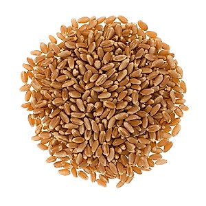 Hard Red Winter Wheat Berries | 5 LBS | Family Farmed in Washington State | Non-GMO Project Verified | 100% Non-Irradiated | Certified Kosher Parve | Field Traced | Burlap Bag