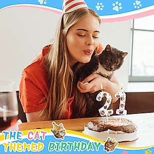 Cat Birthday Number Candles Cat Paw Print Themed Birthday Candles Cat Paw Print Numeral Cupcake Topper for Birthday Cake Kitten Pet Theme Decorations Party Supplies(Number 1)