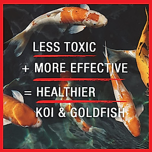 MICROBE-LIFT BSDTGAL Broad Spectrum Disease Treatment for Ponds and Outdoor Water Garden, For Live Koi Fish, Goldfish, Plants, and Decor, 1 Gallon