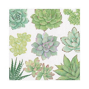 Caspari Succulents Paper Luncheon Napkins - 40 Count