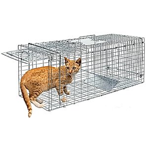 Humane Catch and Release Live Animal Trap Cage Cat Trap for Raccoons Groundhogs Mouse Squirrel Traps 24 Inch Steel Outdoor Small Animal Trap No-Kill Trapping Kit Collapsible & Easy to Use