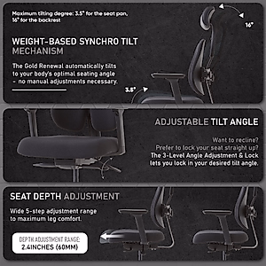 Duorest [Dual-Backrests Gold Renewal (Fabric) Ergonomic Office Chair - Best Office Chair for Posture, Office Chair for Bad Back, Back Pain,Lumbar Support l Home Office Desk Chairs (Black)