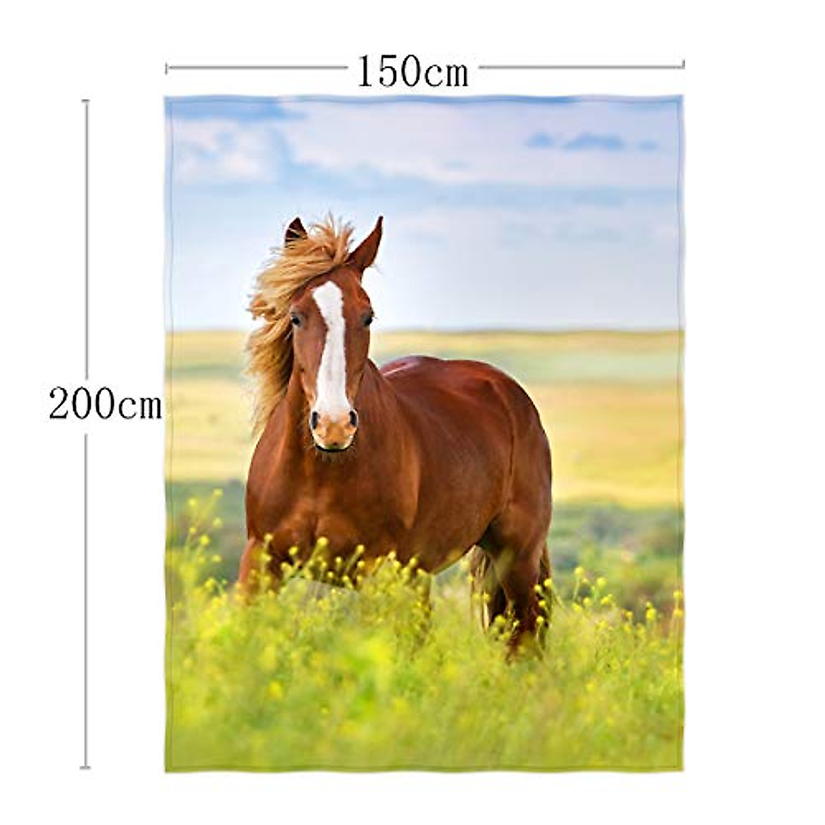 QH 60 x 80 Inch Beautiful Horse Pattern Super Soft Throw Blanket for Bed Sofa Lightweight Blanket Throw Size for Kids Adults All Season