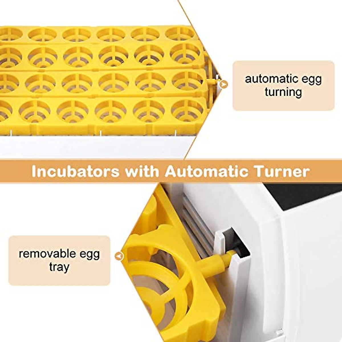 Egg Incubator 48 Eggs Fully Automatic Digital Poultry Incubator with Fahrenheit Temperature and Auto Turning for Hatching Chicken Duck Goose Quail Bird, Egg Hatcher Breeder Incubator Gift Set for Kids