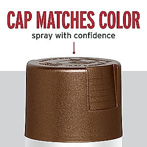 Rust-Oleum 286525 Stops Rust Metallic Spray Paint, Dark Copper , 11 Oz (Pack of 1)