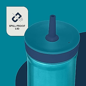 Contigo Leighton Vaccum-Insulated Kids Water Bottle with Spill-Proof Lid and Straw, 12oz Stainless Steel Water Bottle with Straw for Kids, Keeps Drinks Cold up to 13 Hours, Juniper/Blueberry