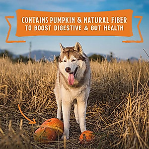 Stella & Chewy's Wild Red Wet Dog Food Variety Pack Stews High Protein Recipes, 10 Ounce (Pack of 3)