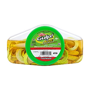 Berkley Gulp! Alive! Grub Fishing Soft Bait, Pearl White, 4in - Pint 4x7