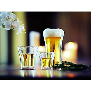 Bodum Assam Double Wall Tumbler/DOF Glass, Set of 2