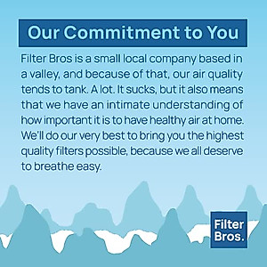 Filter Bros HEPA Filter C Replacement Fits GermGuardian FLT5000 AC5250PT AC5350B