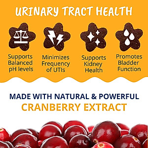 Under The Weather Pet Urinary Tract Support Chews for Cats | Promote Healthy Urinary Function in Cats | 60 Star Shaped Soft Chews
