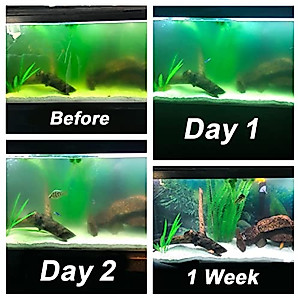 Aquarium Water Clean Clear Lamp Green Clean Machine w/Protect Shell Fits 20-200 Gallon Fish Tank Waterproof Light for Sump Pond Pump Filter 5W 254nm (Pump not Included, lamp is Inside The Shell)