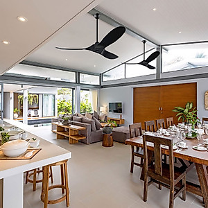 WZHESS 60 inch Black Ceiling Fan without Light, Outdoor Patio Fans for Outside, Large Modern Ceiling Fan with 3 Wood Blades, Quiet DC Motor for Living Room Bedroom Farmhouse(Black, 60inch)