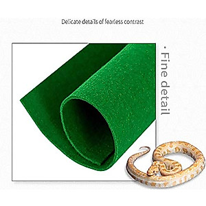 Tfwadmx Reptile Carpet, 2 Pack of Bearded Dragon Mat Terrarium Substrate Liner Bedding for Snake Turtle Lizard Geckos Hermit Crabs (24'' X 16'')