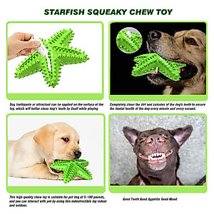 IDOLPET Dog Chew Toys Squeaky Dog Toys Dog Water Floating Toys Starfish Natural Tooth Brush Teeth Cleaning Toy for Small Medium Dog (Green)