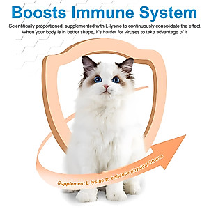 L-Lysine Powder for Cats, 120g Lysine Powder Supports Cats Immune System, Respiratory Health & Visual Function – Lysine Powder Improve Cats Eye Discharge, Pets Health Supplies, Salmon Flavor - 4.23oz