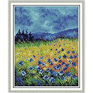 Maydear Full Range of Embroidery Starter Kits Stamped Cross Stitch Kits Beginners for DIY Embroidery 11CT 3 Strands - Beautiful Flowers 13×15.4(inch)