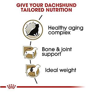 Royal Canin Breed Health Nutrition Dachshund Teckel 8+ Adult Dry Dog Food, 3 lb bag