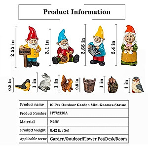 10 Pcs Outdoor Garden Mini Gnomes Statue, Fairy Garden Accessories Micro Miniature Gnomes Figurines, Resin Micro Gnomes, And Hedgehog Owl Bird Squirrel Rabbit Bucket flowerpot Decor Accessories