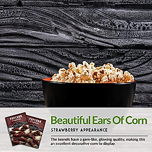 Survival Garden Seeds - Strawberry Popcorn Seed for Planting - Packet with Instructions to Plant and Grow Garnet Kernel Ornamental Popcorn in Your Home Vegetable Garden - Non-GMO Heirloom Variety