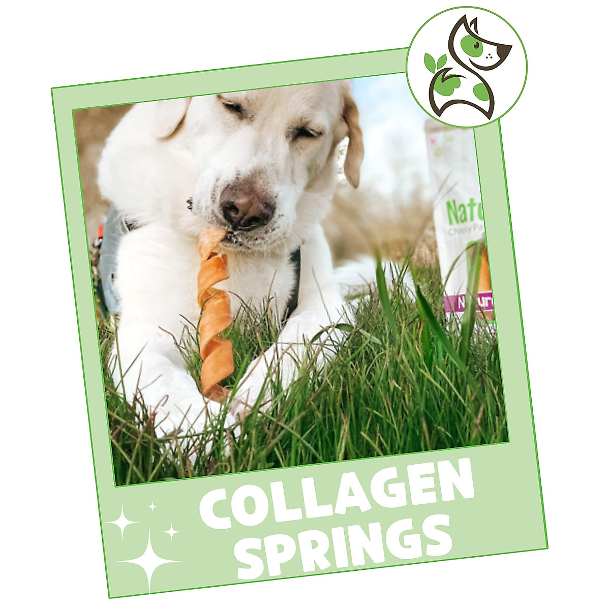 Nature Gnaws Collagen Springs for Dogs (10 Count) - Long Lasting for Small and Medium Dogs - Natural Beef Hide Dog Chew Bones