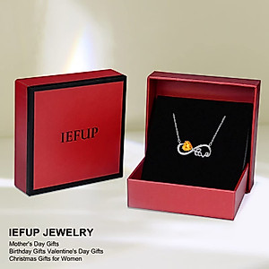 IEFUP Birthstone Necklace for Women, S925 Sterling Silver Citrine Necklace November Birthstone Necklace November Birthstone Jewelry Birthday Gifts for Women Jewelry for Women Gifts for Women
