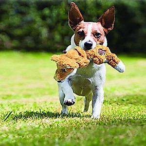 KONG - Scrunch Knots Raccoon - Internal Knotted Ropes and Minimal Stuffing for Less Mess - For Medium/Large Dogs