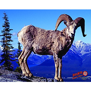 Duramesh Archery Targets Bighorn Sheep, DM204 / DM404 (48"x40")