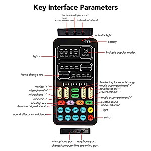 Handheld Voice Changer, Portable Multifunctional Voice Disguiser, Mini Sound Card with 8 Sound Effects Sound Changes, 450mAh Battery, Compatible with Mobile Phone, Computer, Tablet(I9 English Edition)