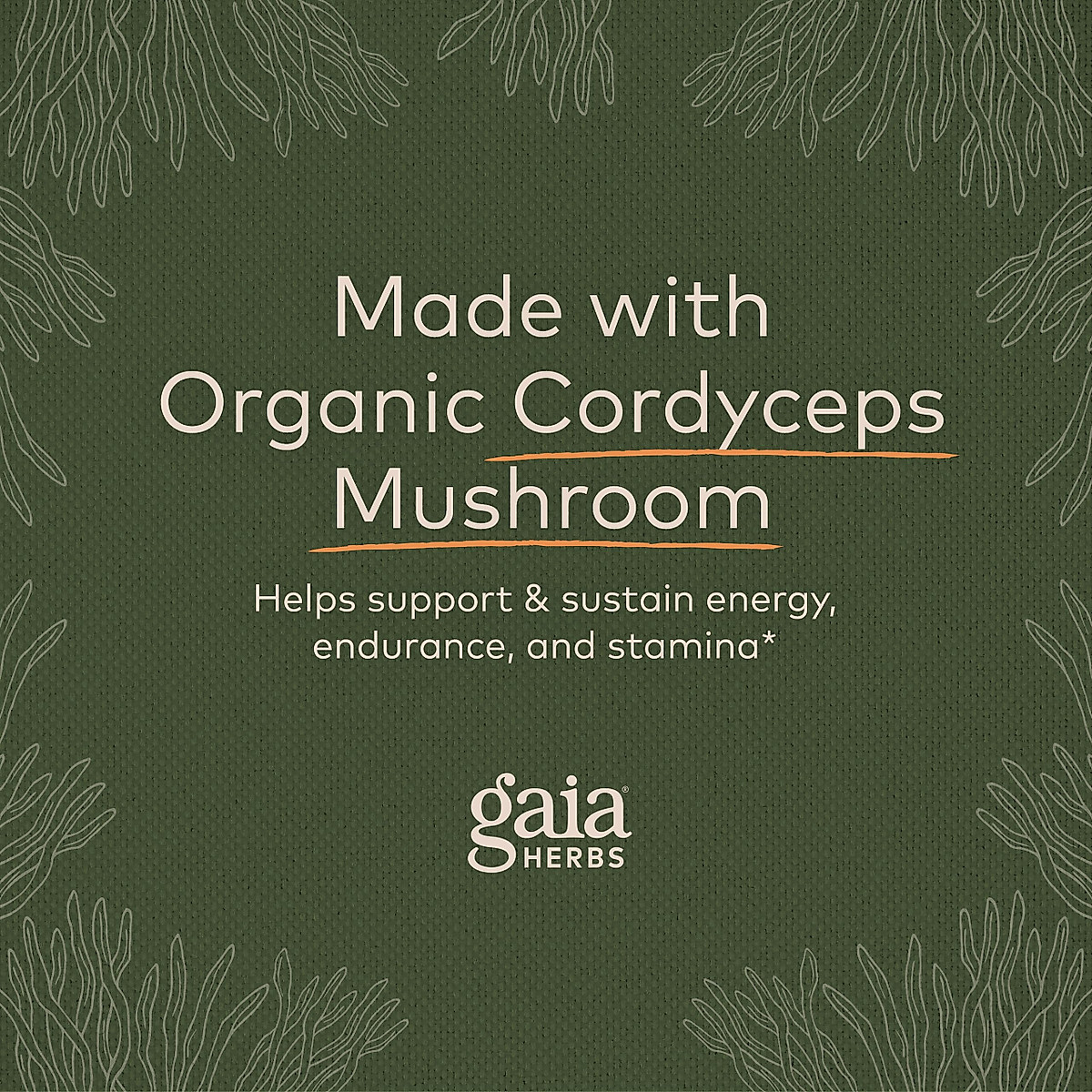 Gaia Herbs Jump Start - Helps Sustain Healthy Energy and Stress Levels - with Cordyceps, Schisandra, Rhodiola, and Licorice - 60 Vegan Liquid Phyto-Capsules (30-Day Supply)