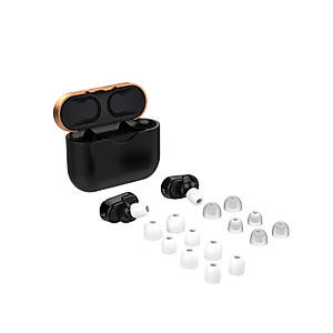 FitTurn Eartips Compatible with Sony WF-1000XM4/WF-1000XM3 Headphone -Replacement Eartips Earhooks Kit Pairs Silicone Earbud Tips Earhooks Fit for Sony WF-1000XM4/WF-1000XM3