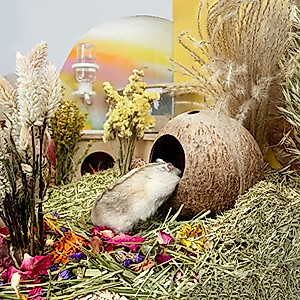 andwe Coconut Hut Hamster House Bed for Gerbils Mice Small Animal Cage Habitat Decor